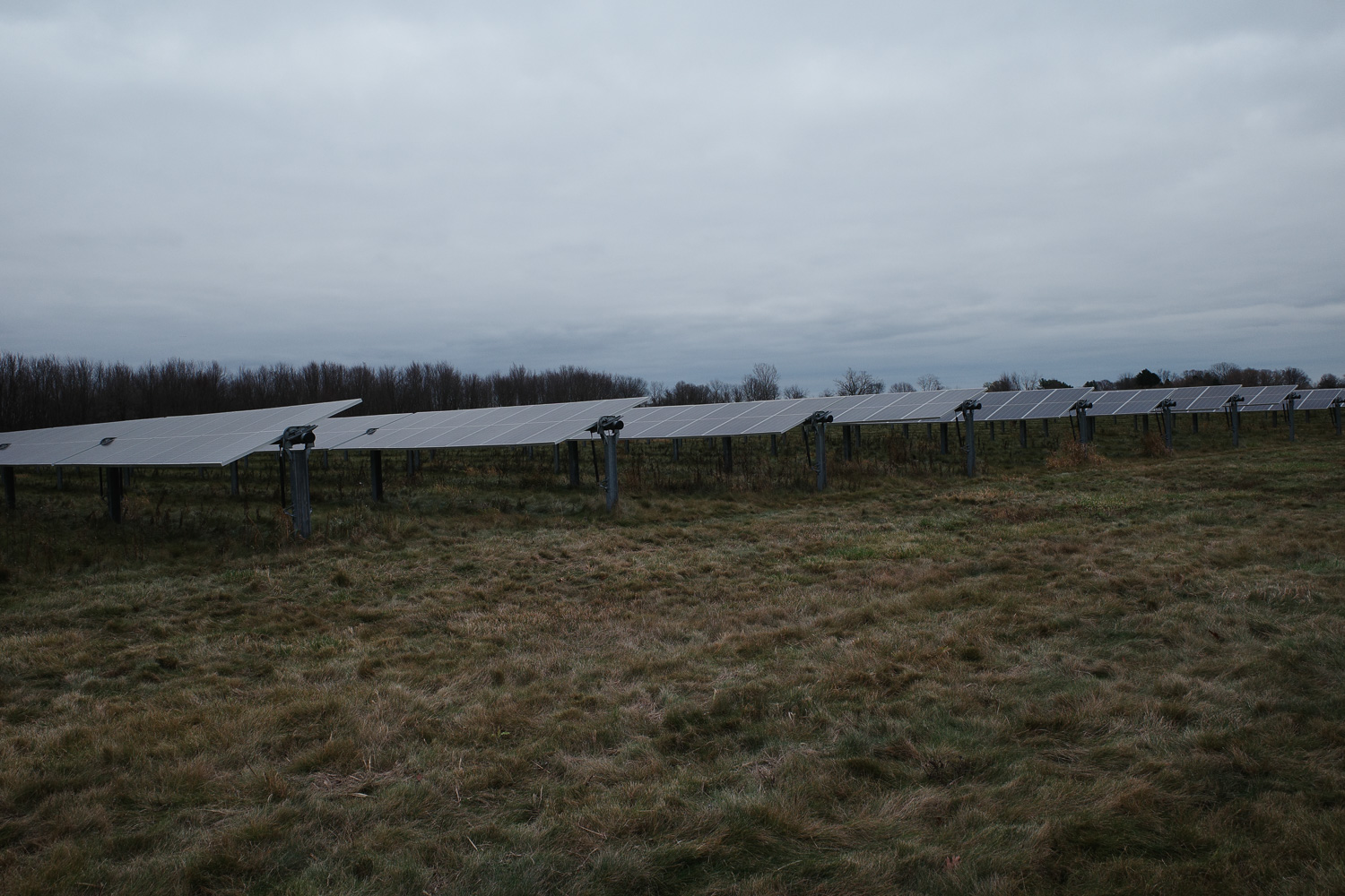 Rural Solar Panels Are Already a Plague - Michigan Enjoyer