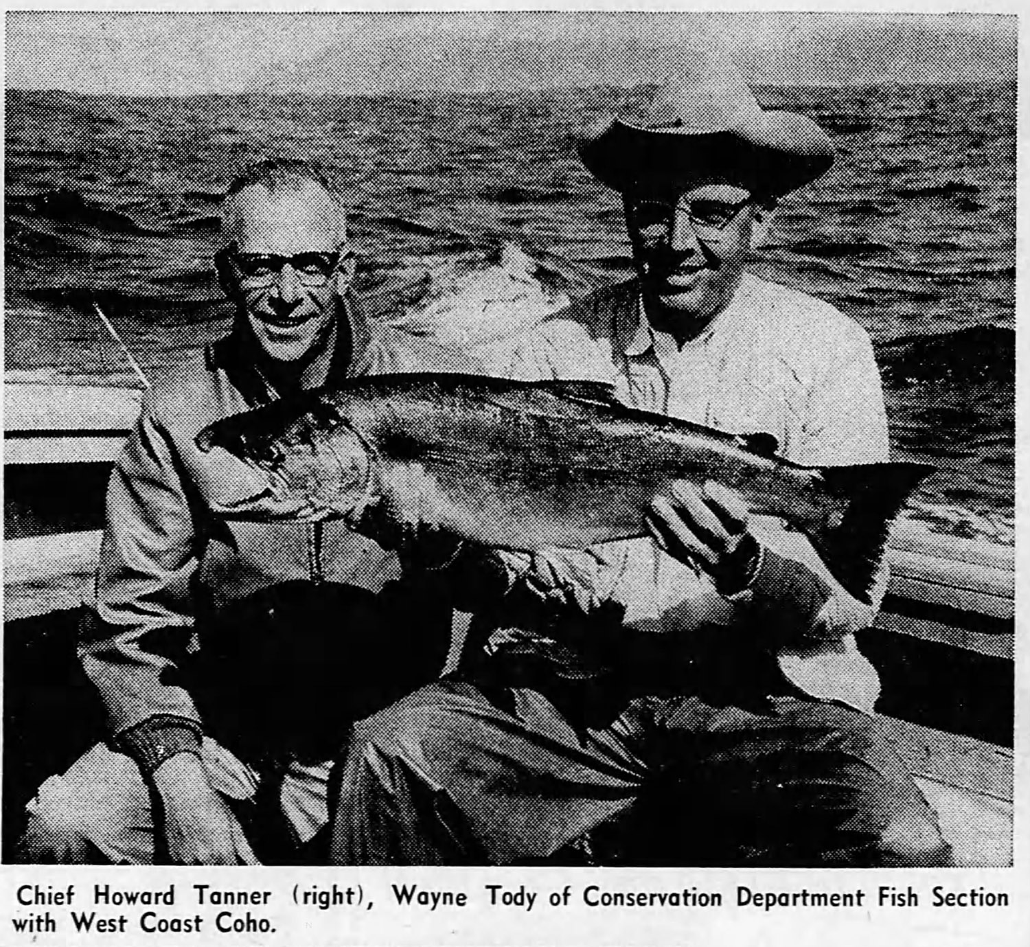 The Alewife: A Curse for the Great Lakes, a Blessing for Salmon ...