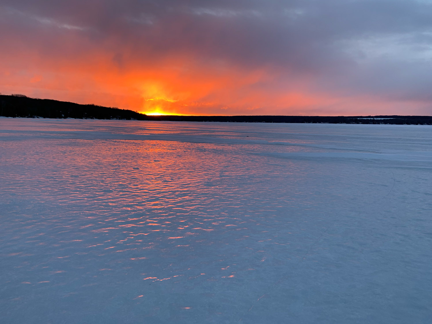 There's No Pain Like a Great Lakes Polar Plunge - Michigan Enjoyer