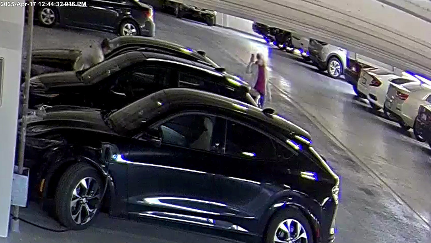 Julie Brixie Saran-Wrapping Matt Maddock’s Car Wasn’t Just Some Prank - Michigan Enjoyer