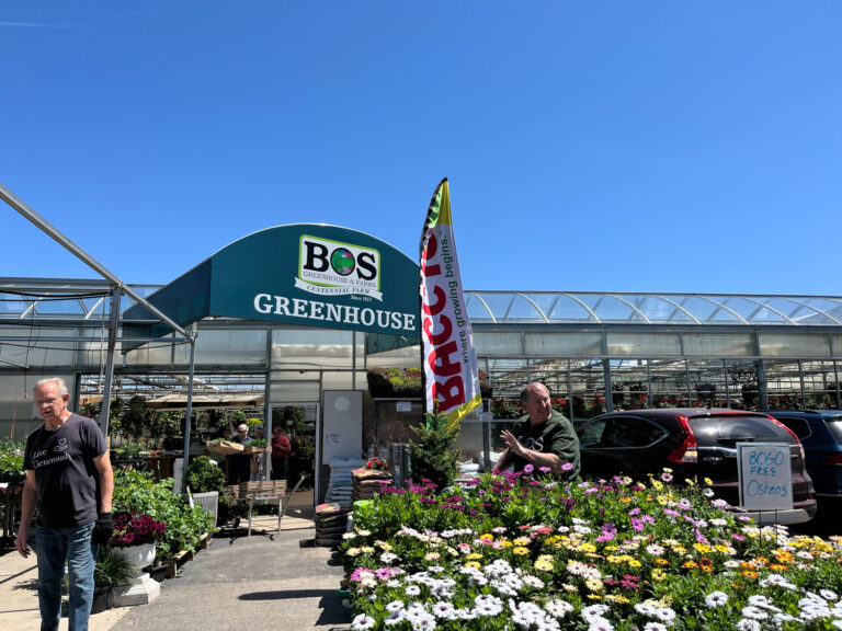 Why Michigan Is the Asparagus Capital of the World - Michigan Enjoyer