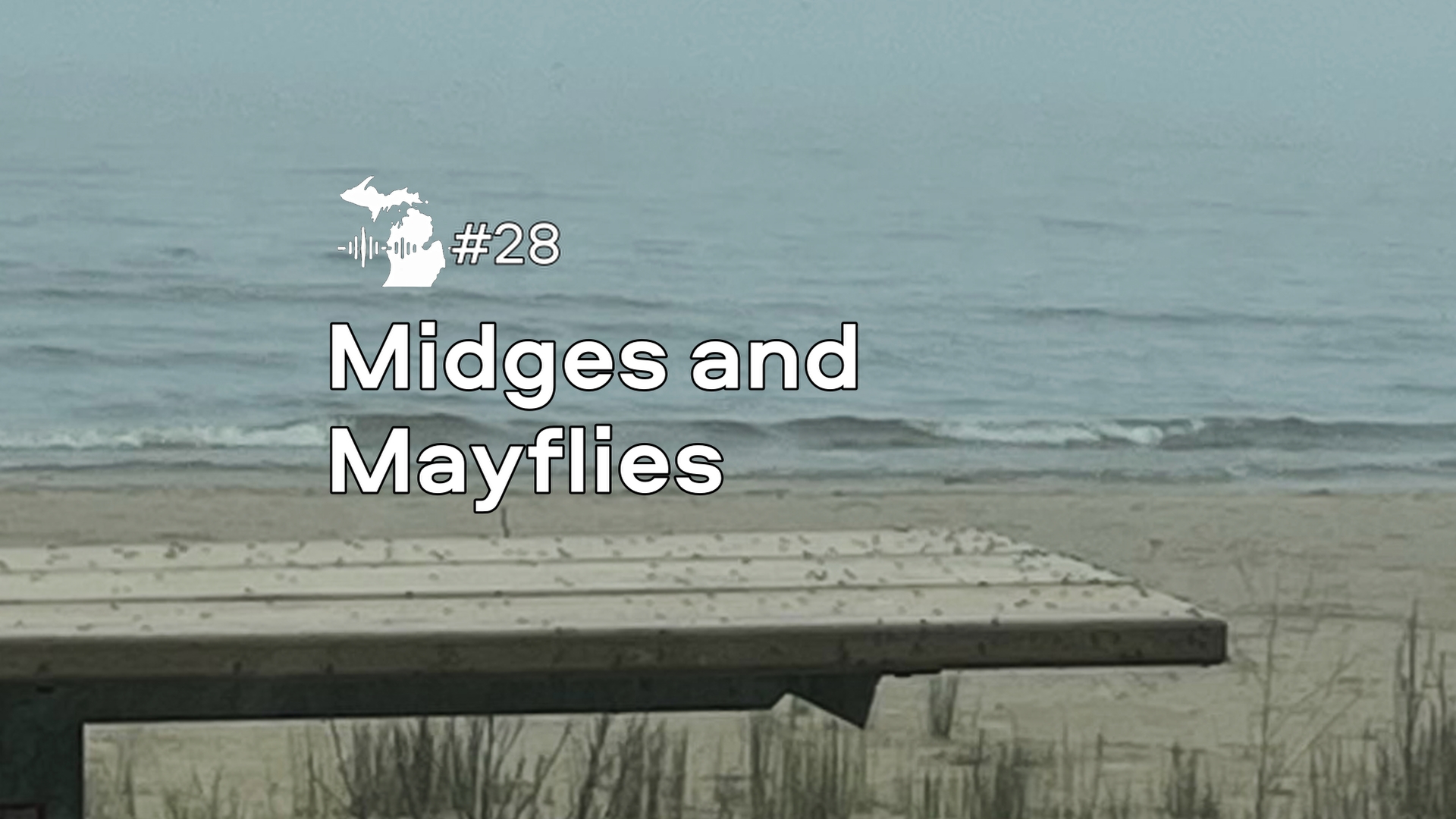 EPISODE 28 Midges and Mayflies - Michigan Enjoyer