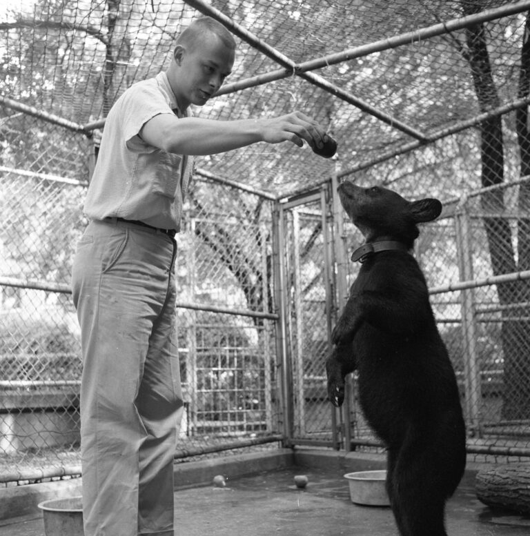 The University of Michigan Had a Real Animal House—With a Live ...