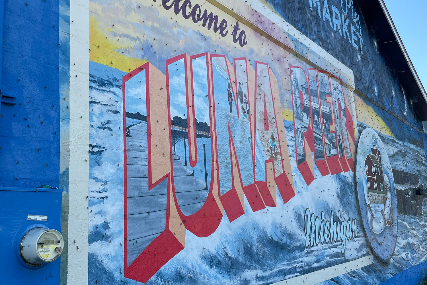 The Annual Plague Descends From Lake Erie - Michigan Enjoyer