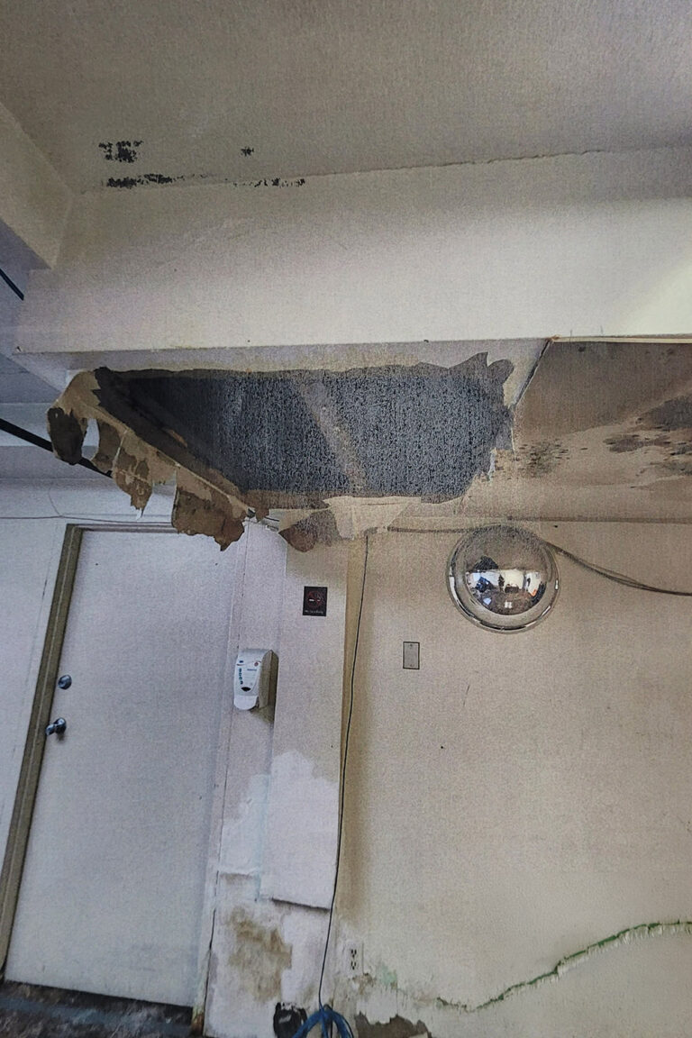 In Detroit, Stray Dogs Get Nicer Housing Than Homeless Kids - Michigan ...