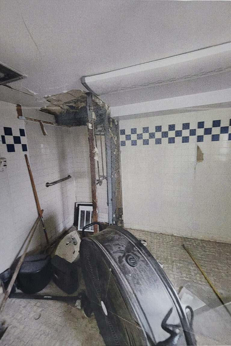 In Detroit, Stray Dogs Get Nicer Housing Than Homeless Kids - Michigan ...