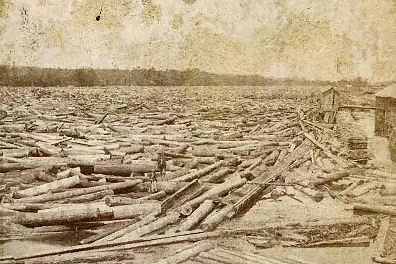 The Log Jam That Almost Destroyed Grand Rapids - Michigan Enjoyer